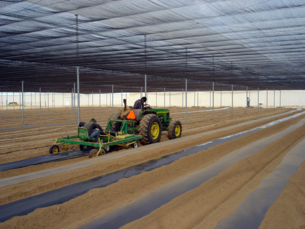 Net House - Ideal Solution for Plant Cultivation